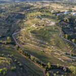Porches: Algarve Vineyard Tour and Wine Tasting Experience - About the Price and Value