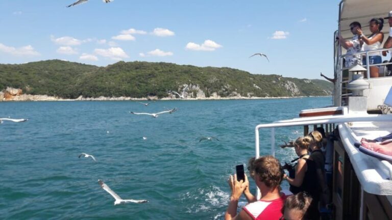 Pore: Boat tour to Rovinj with lunch and drinks - Practical details and traveler tips