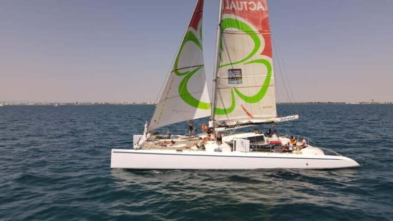 Port Camargue: Half-Day Sailing Tour on a Racing Catamaran - What Makes This Sailing Tour Stand Out?