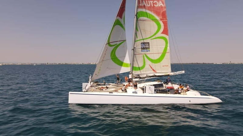 Port Camargue: Half-Day Sailing Tour on a Racing Catamaran - What Makes This Sailing Tour Stand Out?