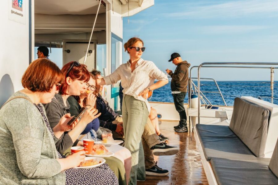 Port d'Alcudia: Sunrise at Sea & Dolphin Watching Boat Tour - Practical Tips for Your Trip