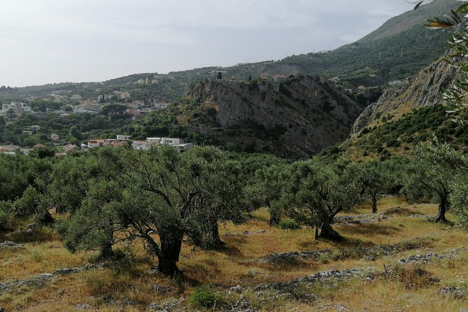 Port of Bar tour - Explore Adriatic area - Bar and Ulcinj tour - How the Tour Breaks Down