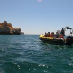 Portimão: 2-Hour Dolphin Watching Boat Tour - What to Expect from the Dolphin Watching Tour