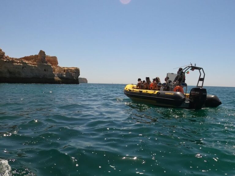Portimão: 2-Hour Dolphin Watching Boat Tour - What to Expect from the Dolphin Watching Tour