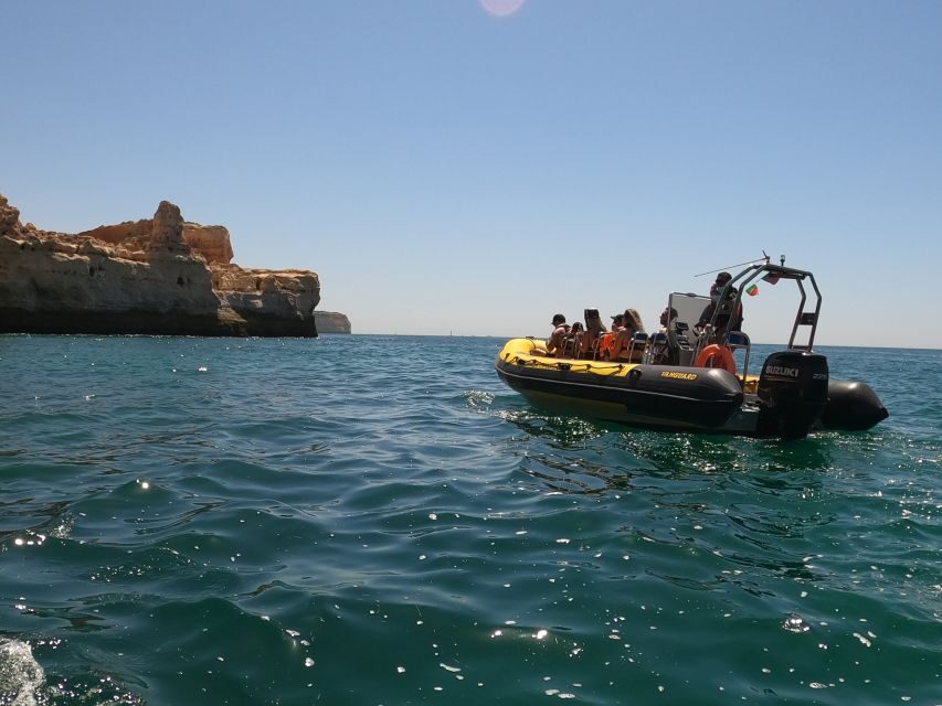 Portimão: 2-Hour Dolphin Watching Boat Tour - What to Expect from the Dolphin Watching Tour