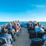 Portimão: Benagil Caves & Dolphins Watching with Biologist - Frequently Asked Questions