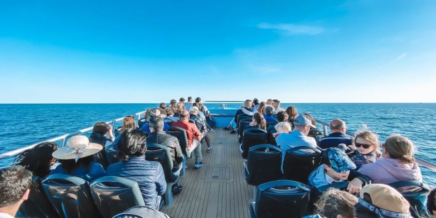 Portimão: Benagil Caves & Dolphins Watching with Biologist - Frequently Asked Questions