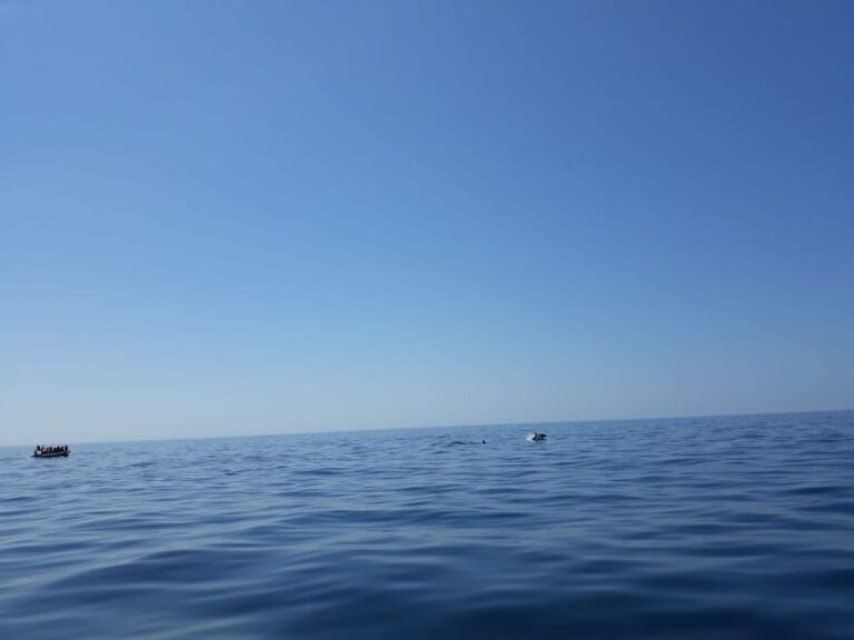 Portimão: Dophin Watching on the Algarve Coast - The Sum Up