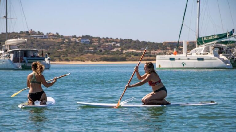 Portimão: Half-Day Catamaran Cruise to Benagil & Carvoeiro - Water Activities and Lounge Comfort