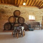 Porto: 3 Douro Valley Vineyards Tour with Lunch - The Return Journey: Winding Along the Douro River