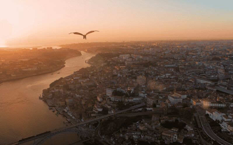 Porto: 5D Flight over de City for all family. - The Details: What to Expect and Why It Matters