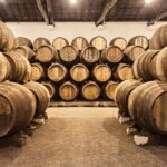 Porto City Full-Day Tour with Wine Tasting - In-Depth Breakdown of the Tour