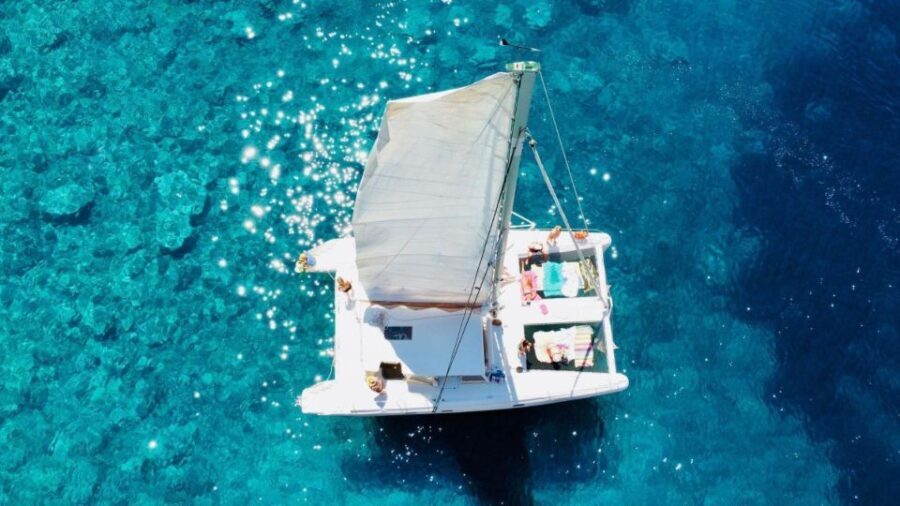 Porto Conte: Half-day catamaran tour with aperitif - A detailed look at the experience