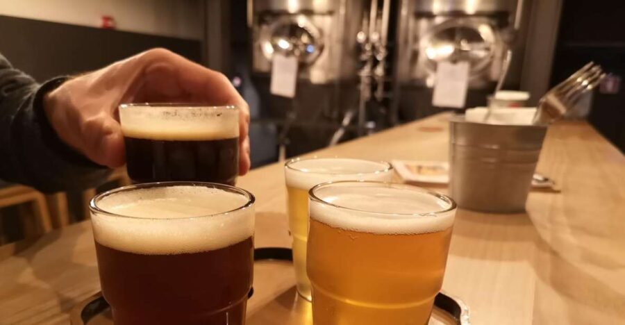 Porto: Craft Beer, Porto Secrets, and Wine Tour - What You Will Experience