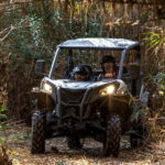 Porto: Dirt and Dust Tour by Oporto Buggy - What to Expect During the Tour
