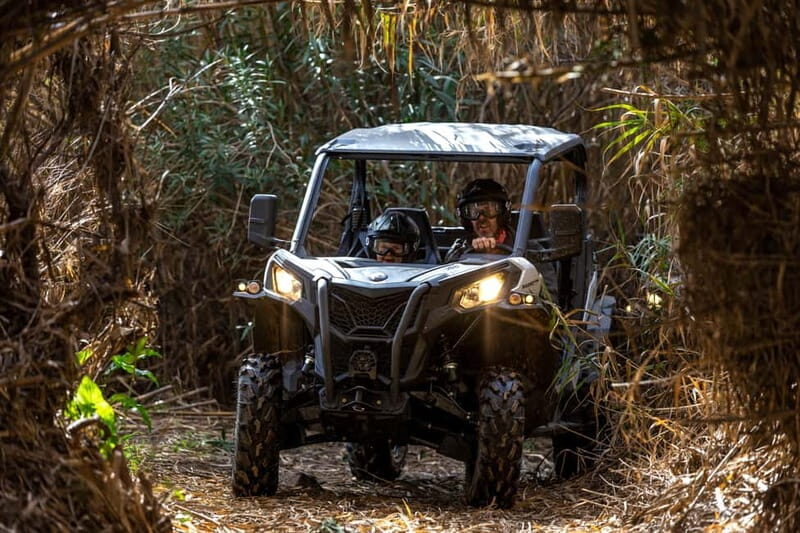 Porto: Dirt and Dust Tour by Oporto Buggy - What to Expect During the Tour