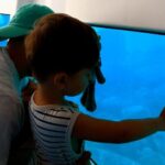 Porto : Discovery of the marine fauna and flora/Bay of Porto - The Authentic Experience and Review Highlights