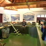 Porto: Douro Valley, 2 Wineries, Lunch & Private Boat Trip - Practical Details and Value