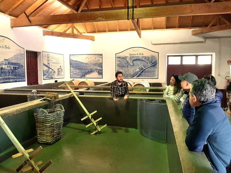 Porto: Douro Valley, 2 Wineries, Lunch & Private Boat Trip - Practical Details and Value