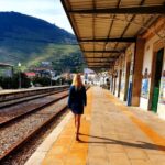 Porto: Douro Valley Day Trip with Wine Tasting and Lunch - The Itinerary: What You Can Expect