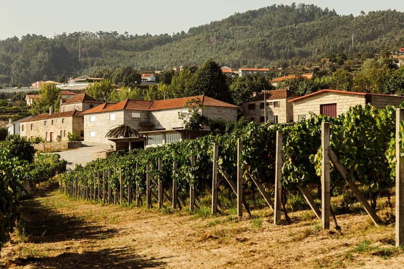Porto: Douro Valley Exclusive Vinho Verde Tour - What Makes This Tour Stand Out?