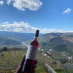 Porto: Douro Valley Half-Day Wine and Food Tour - What Makes This Tour Worth It?