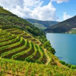 Porto: Douro Valley History & Wine Tour with Cruise & Lunch - Exploring the Douro Valley