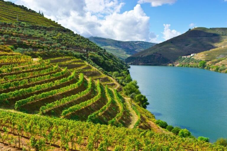 Porto: Douro Valley History & Wine Tour with Cruise & Lunch - Exploring the Douro Valley