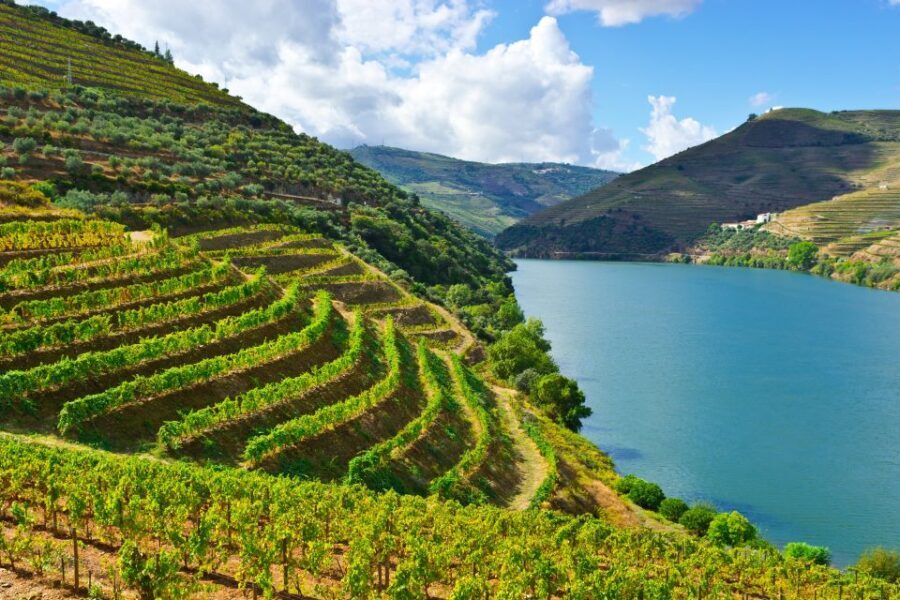 Porto: Douro Valley History & Wine Tour with Cruise & Lunch - Exploring the Douro Valley