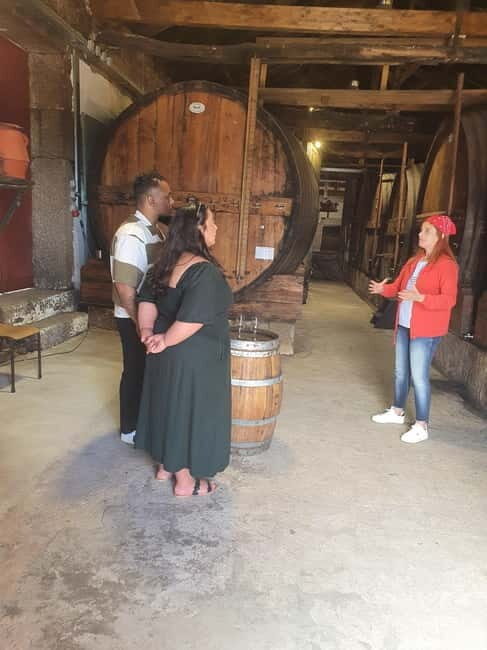 Porto: Douro Valley Private Tour with Winery Visit & Lunch - Exploring the Douro Valley with a Private Guide