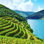 Porto: Douro Valley Tour w/ 3 Tastings, Lunch, & Opt. Cruise - What Makes This Tour Stand Out