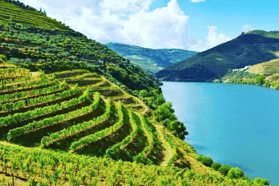 Porto: Douro Valley Tour w/ 3 Tastings, Lunch, & Opt. Cruise - What Makes This Tour Stand Out