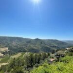 Porto: Douro Valley Tour with 2 Wineries, Lunch and Cruise - Scenic Drive and Viewpoints