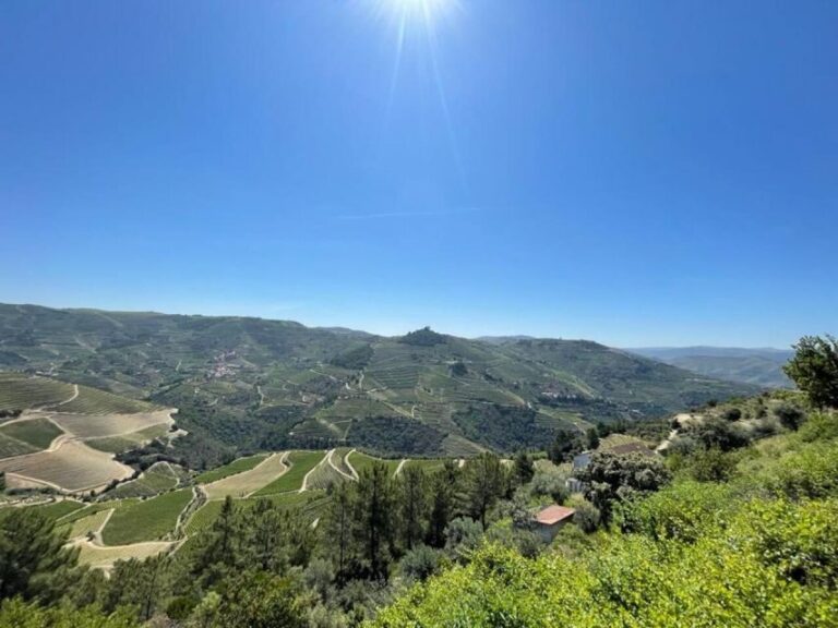 Porto: Douro Valley Tour with 2 Wineries, Lunch and Cruise - Scenic Drive and Viewpoints