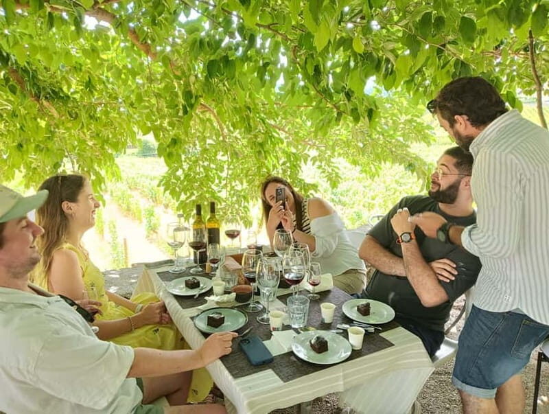 Porto: Douro Valley Tour with 2 Wineries, Lunch, & Boat Trip - The Scenic Drive & Régua Eclusa