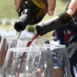 Porto: Douro Valley Tour with 3 vineyards and lunch. - The Scenic Journey & First Impressions
