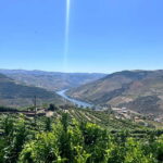 Porto: Douro Valley Tour with 3 Wineries and Lunch - What Makes This Tour Stand Out?