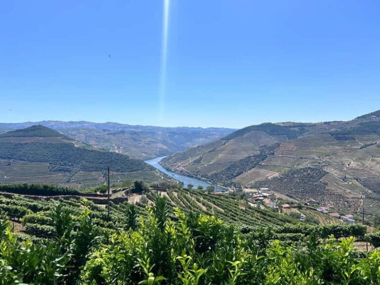 Porto: Douro Valley Tour with 3 Wineries and Lunch - What Makes This Tour Stand Out?