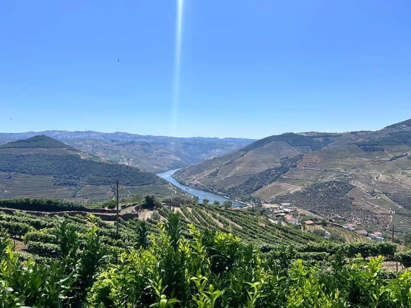 Porto: Douro Valley Tour with 3 Wineries and Lunch - What Makes This Tour Stand Out?