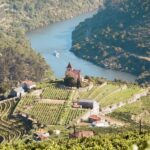 Porto: Douro Valley Tour with Wine Tasting, Cruise and Lunch - The Itinerary and What You’ll Experience