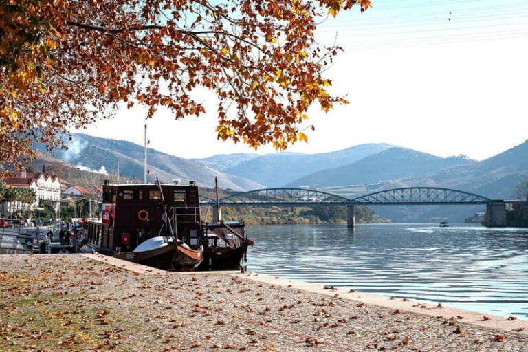 Porto: Douro Wine Tour with Lunch and River Cruise - The Logistics and Value