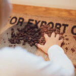 Porto: Entry Ticket at WOW The Chocolate Experience by 20|20 - An Honest Look at the Experience