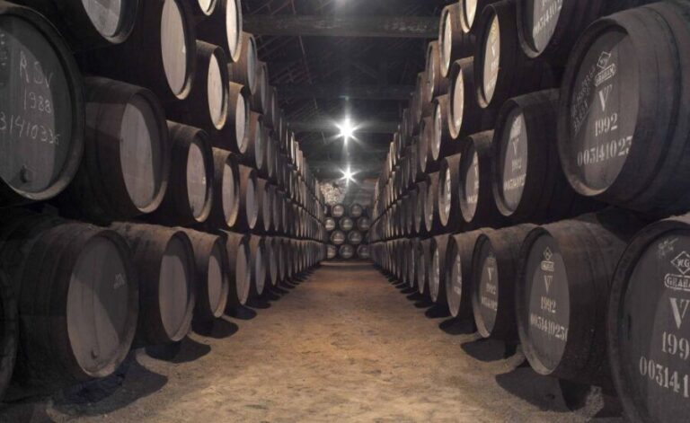 Porto: Graham's Port Lodge Tour with Premium Wine Tastings - Who Will Love This Tour?
