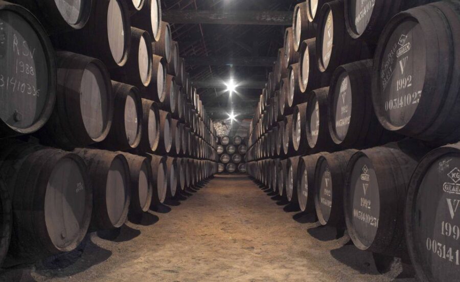 Porto: Graham's Port Lodge Tour with Premium Wine Tastings - Who Will Love This Tour?