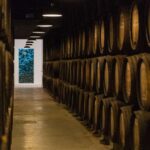 Porto: Guided Tour and Tasting of 3 Port Wines at Poças - Who Will Love This Tour?