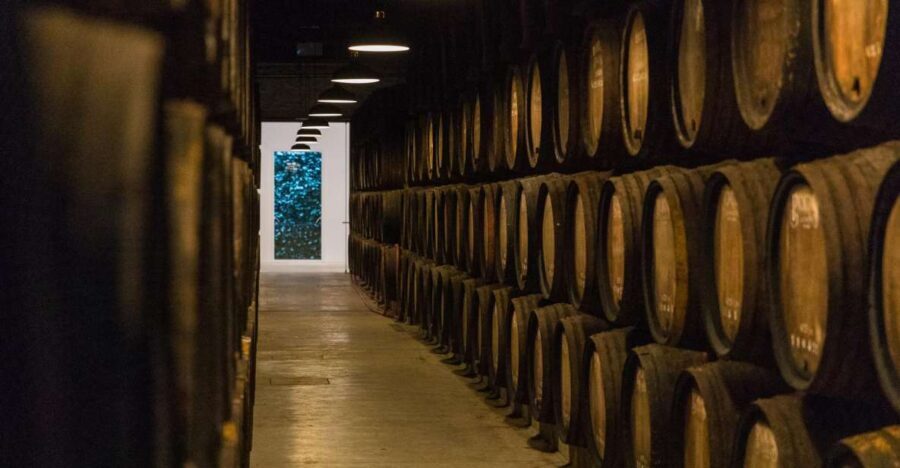 Porto: Guided Tour and Tasting of 3 Port Wines at Poças - Who Will Love This Tour?