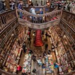 Porto: Half-Day Sightseeing in Porto with a Local - The Experience through the Lens of Reviews