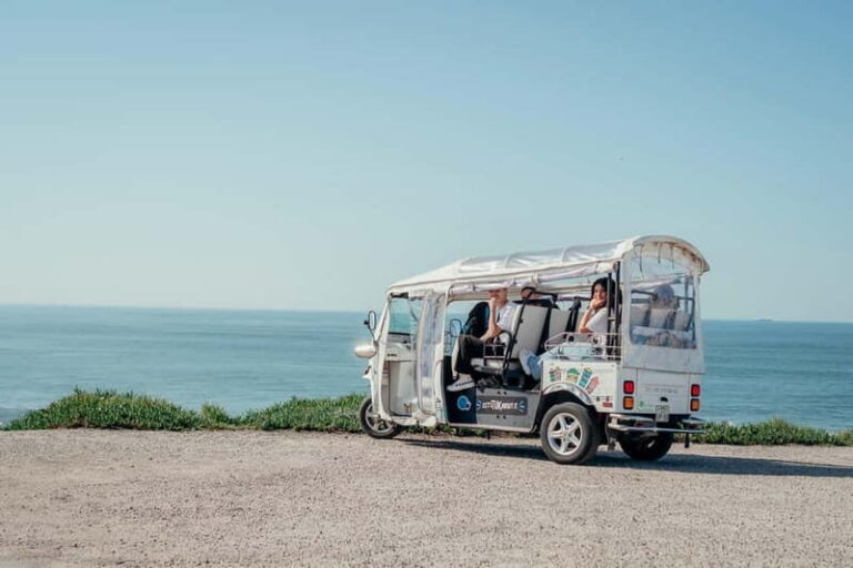 Porto Half Day Tuk Tuk Tour Clérigos, Seaside and Viewpoints - What do travelers say?
