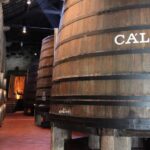 Porto: Hop-on Hop-off Bus with Optional Cruise & Wine Cellar - Authentic Local Experiences: What Youll Love