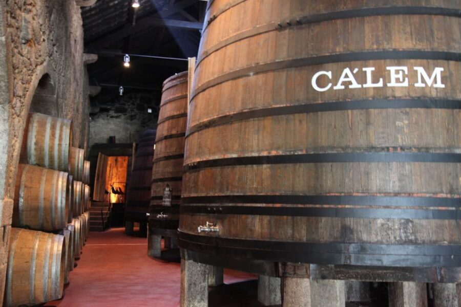 Porto: Hop-on Hop-off Bus with Optional Cruise & Wine Cellar - Authentic Local Experiences: What Youll Love